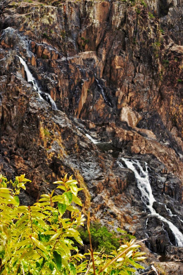 Barron River Waterfall and Gorge Stock Photo - Image of vegetation ...