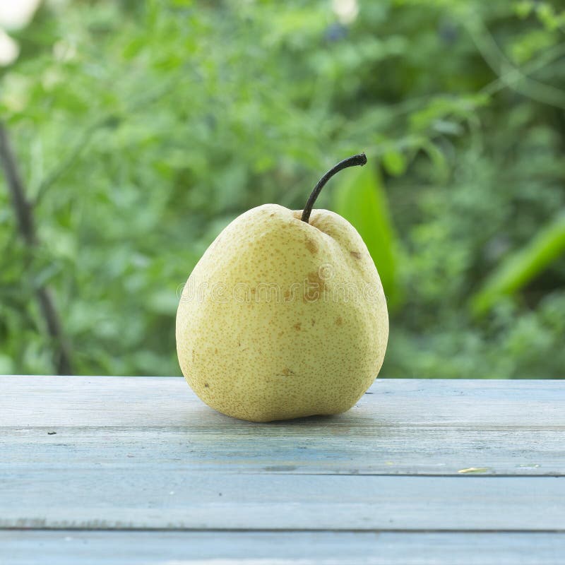 587 Fruit Barrow Stock Photos - Free & Royalty-Free Stock Photos from ...