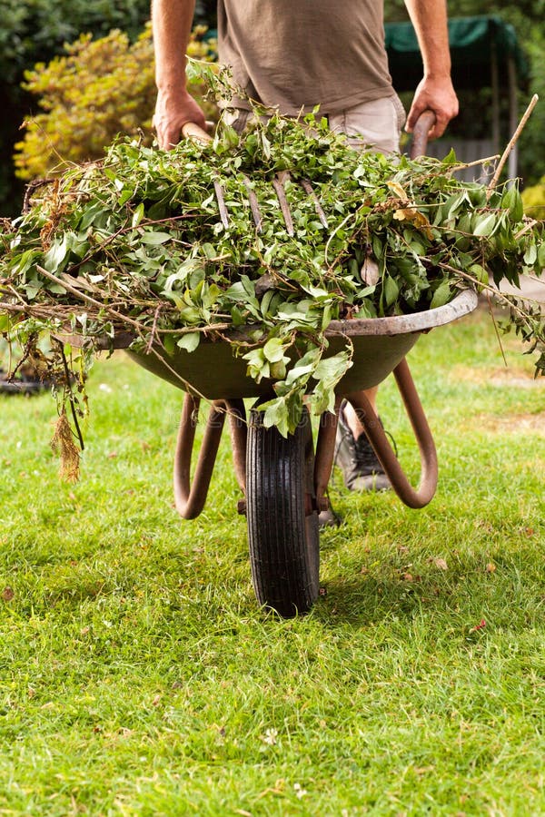 Barrow in move stock photo. Image of farm, hobby, cart - 32920036