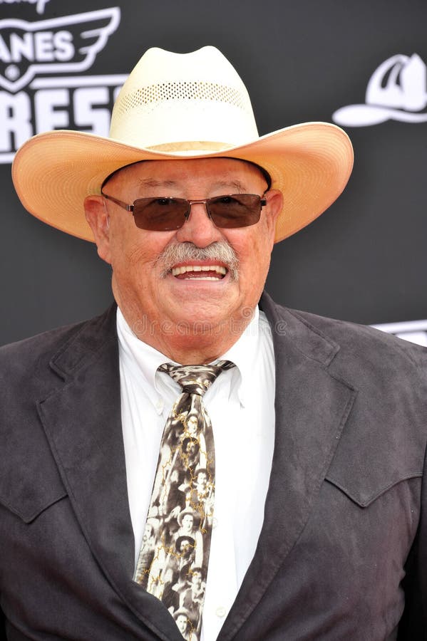 Barry Corbin & Hilary Swank & Grace Gummer & Tommy Lee Jones & Dawn ...