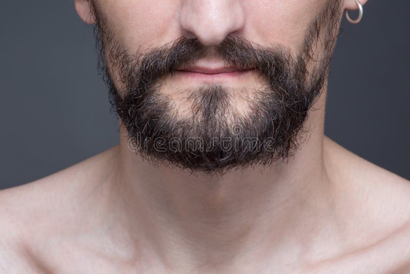 Bart stockbild. Bild von gesicht, stattlich, künstlerisch - 57125013
