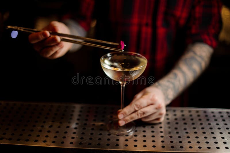 Professional Mixologist Adding To a Twinkle Cocktail Decor of One Stock ...
