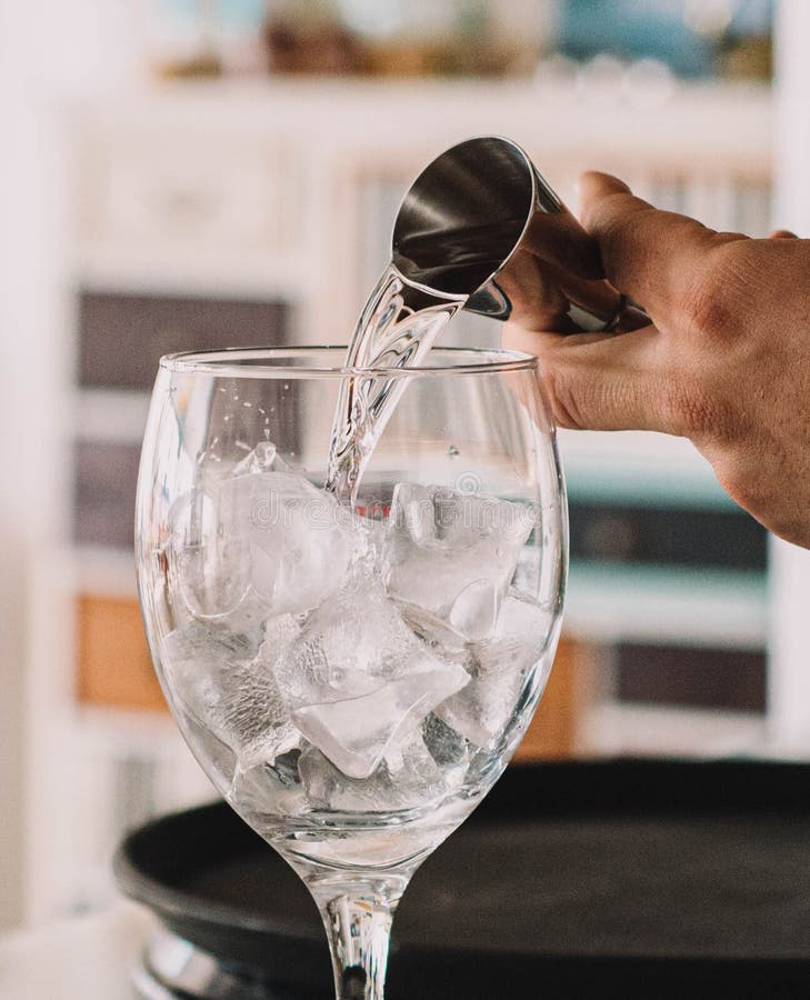 Bartender Preparing a Tonic Gin Drink Stock Image - Image of fruits ...