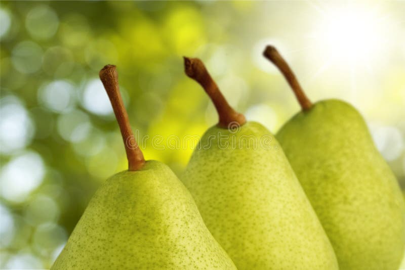 Bartlett stock photo. Image of healthy, bartlett, fruit - 118961940