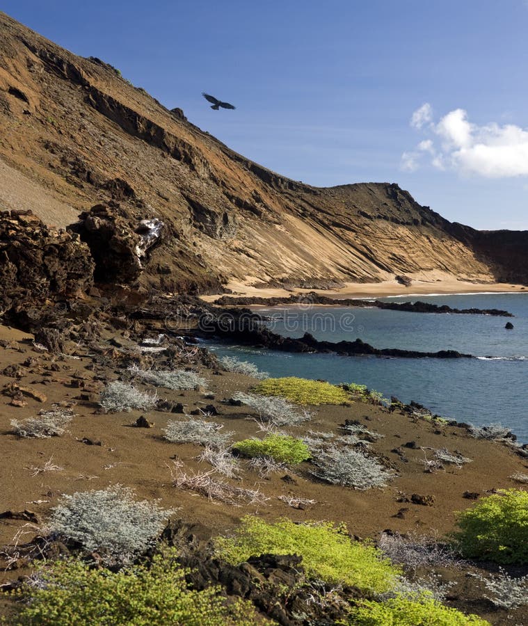 Bartolome - Galapagos-Inseln Stockbild - Bild von vulkan, galapagos ...