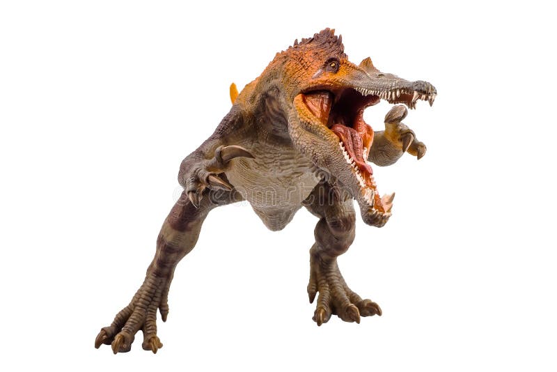 Baryonyx ,dinosaur on White Background Stock Image - Image of ...