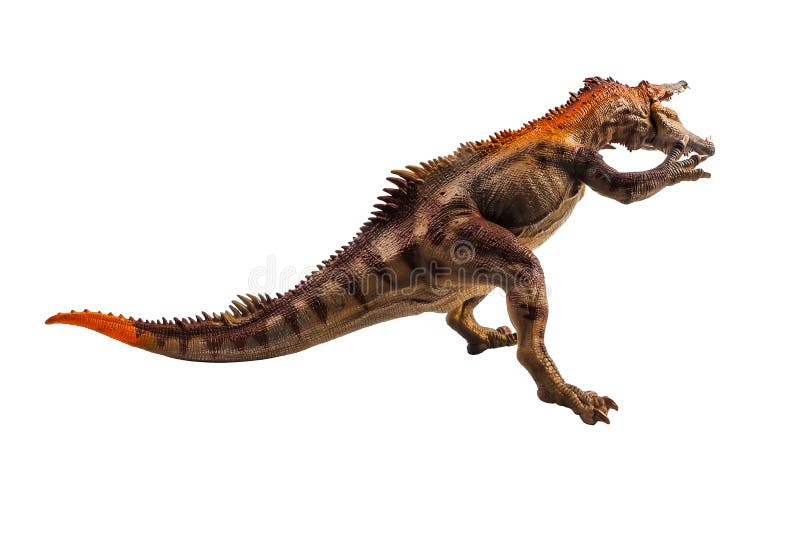 Baryonyx ,dinosaur on White Background Stock Photo - Image of fossil ...