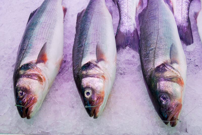Bas ryb zdjęcie stock. Obraz złożonej z deliciouses, przemysł - 3516686
