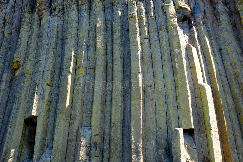 Devil S Tower National Monument in Wyoming Stock Image - Image of tree ...