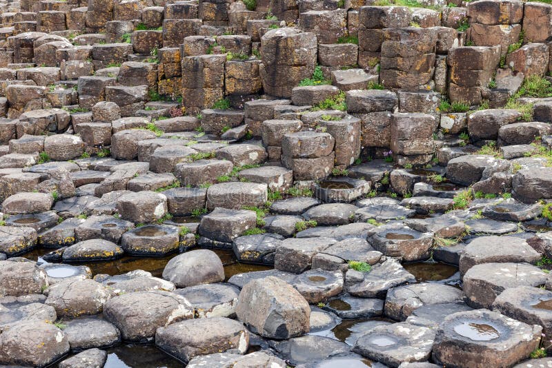 Basalt Columns with Hexagonal Shapes and Plants at Giant Causeway ...