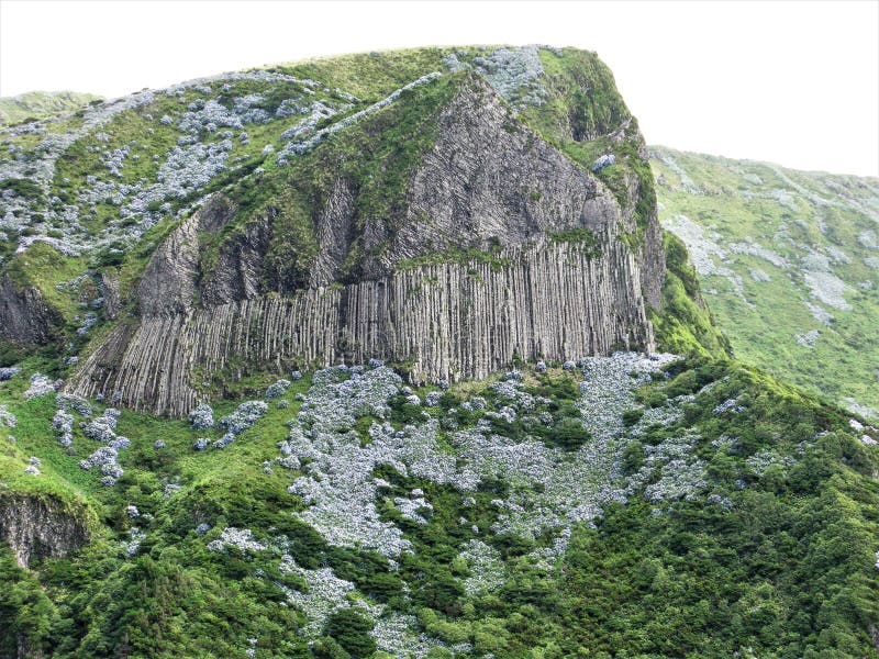 Basalt Columns and Wild Hydrangeas on Flores Island, the Azores Stock ...