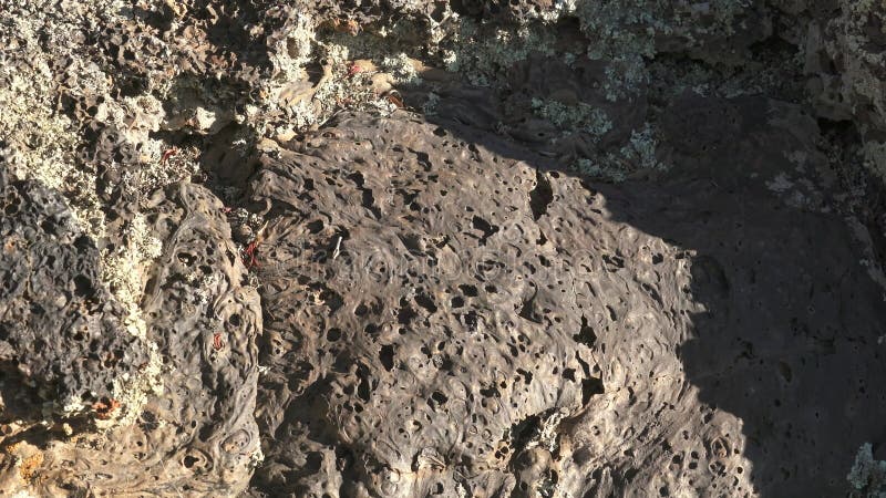 Solidified Igneous Lava Rock Stock Footage - Video of documentary ...