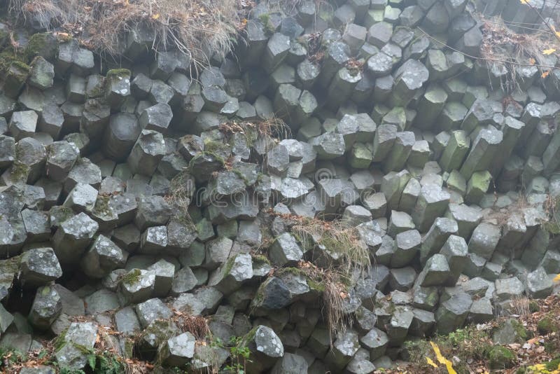 Basalt Prisms in the Forrest Stock Photo - Image of brown, green: 134970526