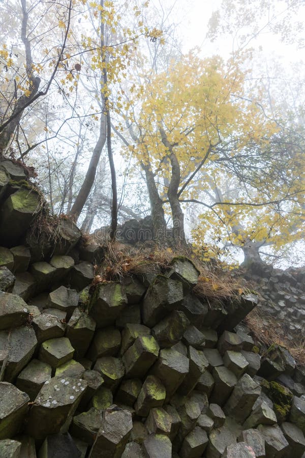 Basalt Prisms in the Forrest Stock Photo - Image of brown, green: 134970526