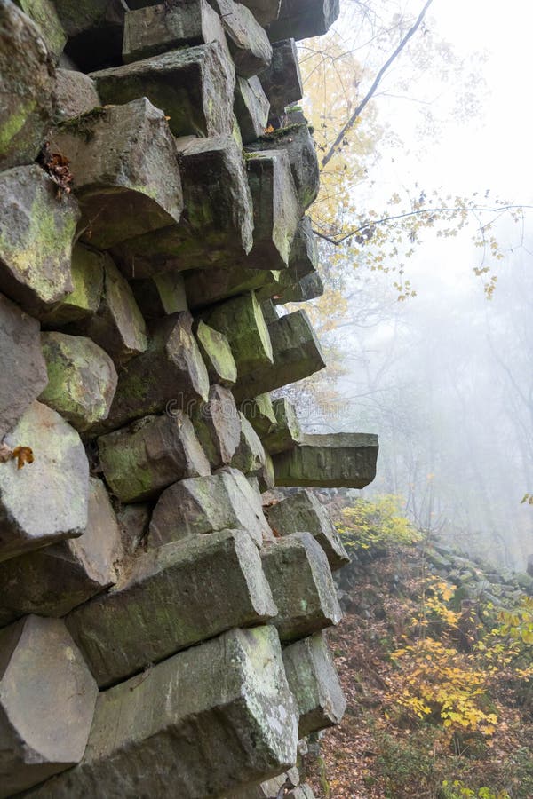 Basalt Prisms in the Forrest Stock Photo - Image of brown, green: 134970526