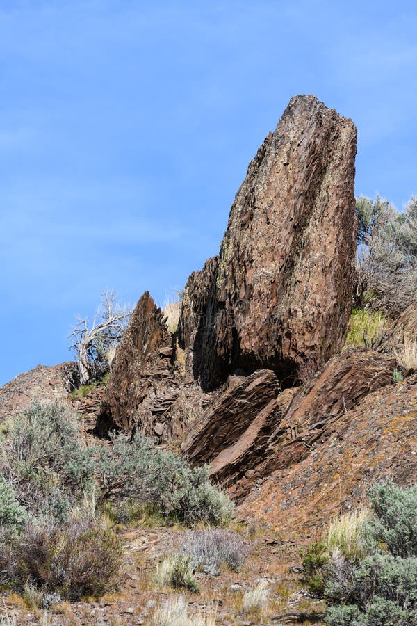 Basalt Rock Standing Vertical in Eastern Washington Stock Image - Image ...