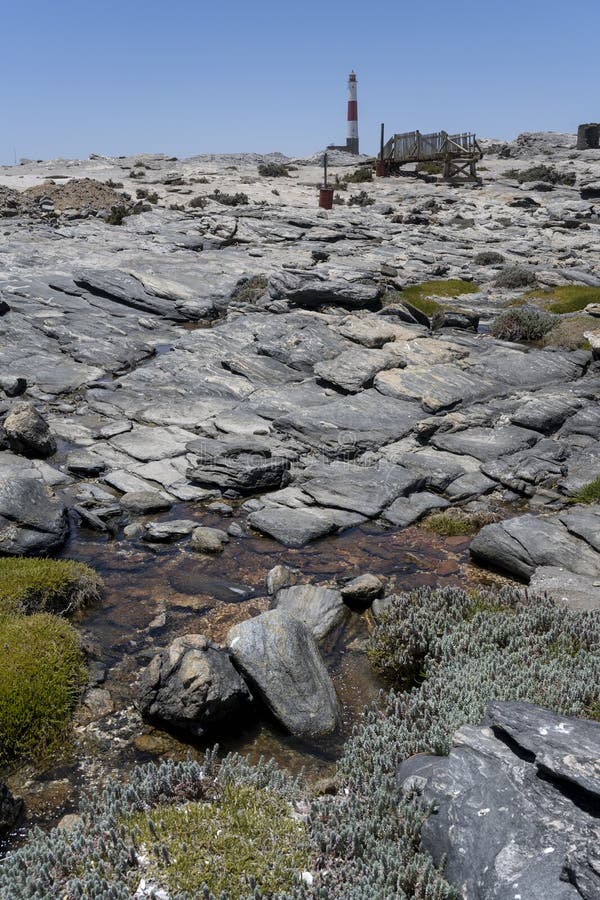 Basalt Rocks and Lighthouse at Diaz Point, Namibia Stock Image - Image ...