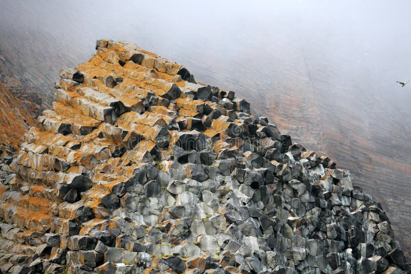 Arctic rocks background stock photo. Image of moss, wilderness - 28129570