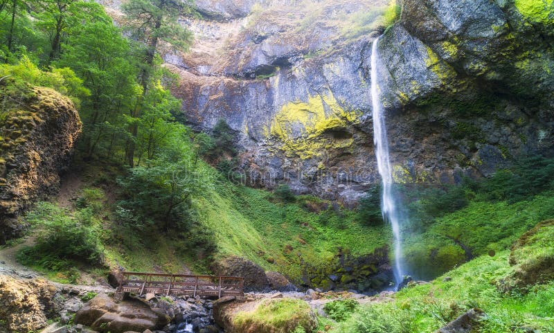 Elowah Falls, Columbia Gorge, Oregon Stock Photo - Image of stream ...
