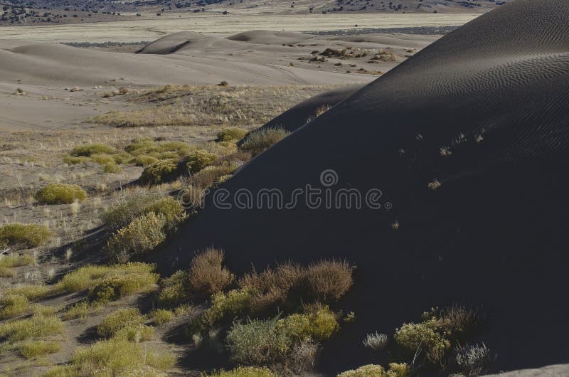 The Base of the Sand Dune in the Great Basin Stock Photo - Image of ...