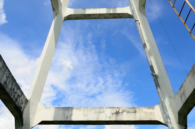 Plant Base Full Water Stock Photos - Free & Royalty-Free Stock Photos ...