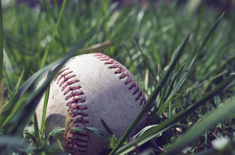 Baseball Auf Dem Boden Mit Gras Stockbild - Bild von vertretung ...