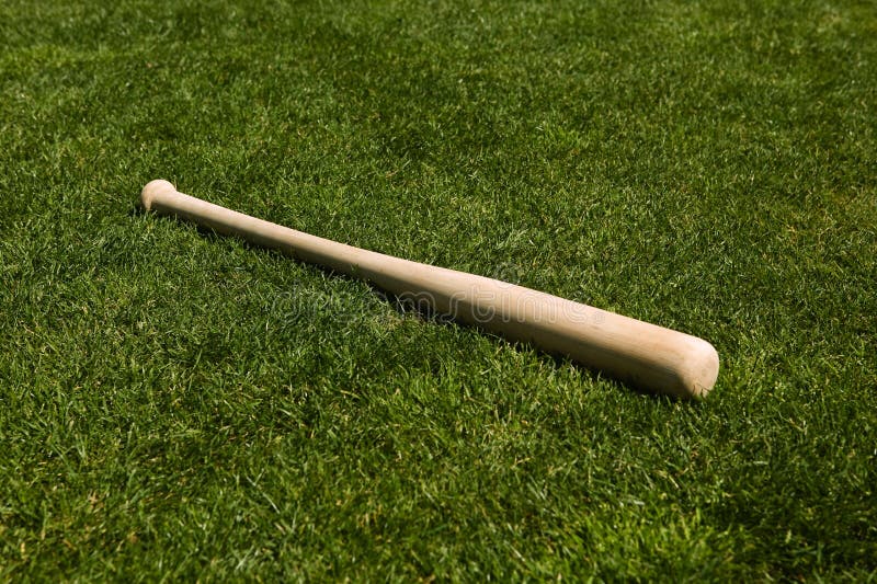 Baseball Bat stock photo. Image of leather, field, american - 6511298