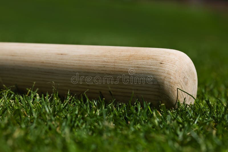 Baseball Bat Picture. Image: 6511377