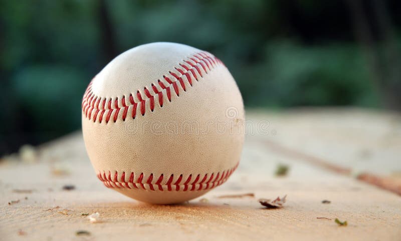 Baseball on the bench stock photo. Image of sport, dugout - 2449846