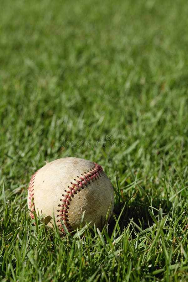 Baseball Laying in the Grass Stock Image - Image of green, stitching ...