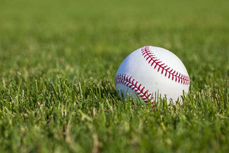 Baseball Close Up Selective Focus Low Angle in the Outfield Grass at a ...