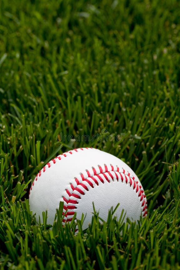 Baseball on field stock image. Image of league, grass - 15201539
