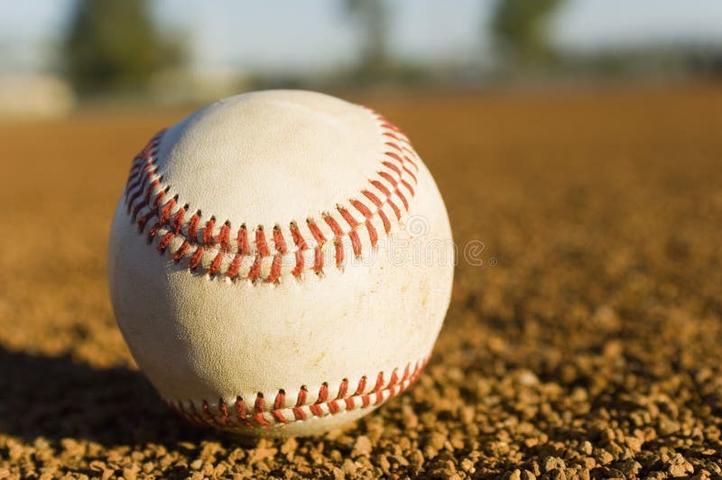 Baseball bat on ground stock photo. Image of ground, batter - 5302200