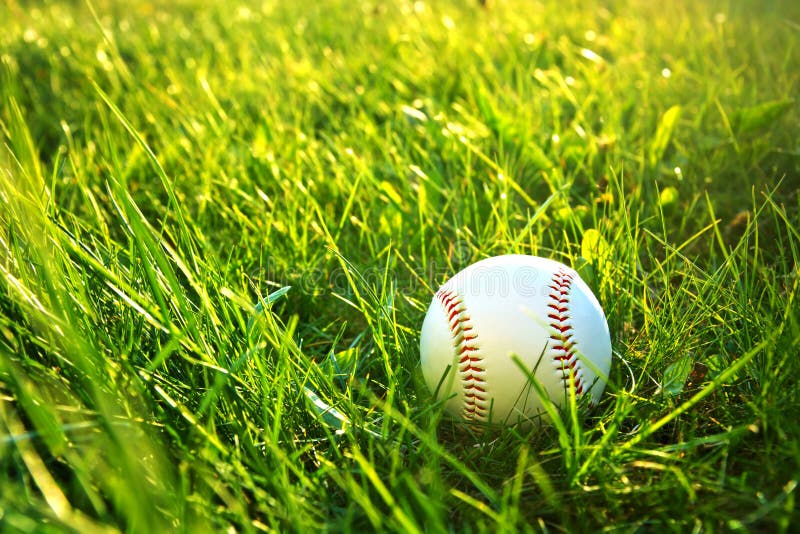 Baseball game. stock photo. Image of activity, lawn, exercise - 71434430