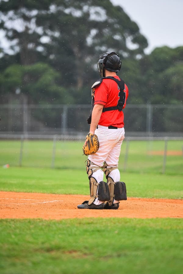 Baseball Game, Catcher is Standing Up and Watching the Play during the ...