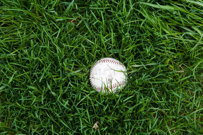 Baseball in grass stock photo. Image of green, summer - 54085298