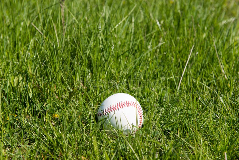 Old Baseball in the Green Grass Stock Photo - Image of baseball ...