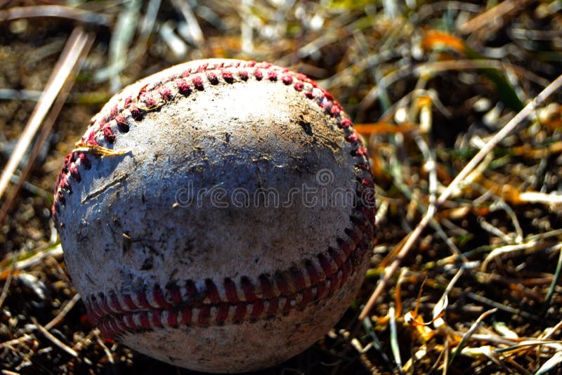 Baseball bat on ground stock photo. Image of ground, batter - 5302200