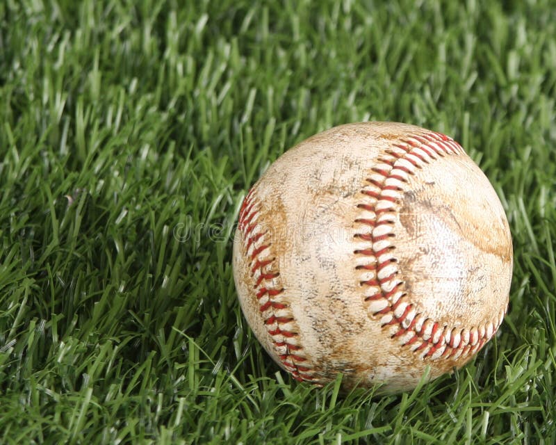 Baseball Laying in the Grass Stock Image - Image of green, stitching ...