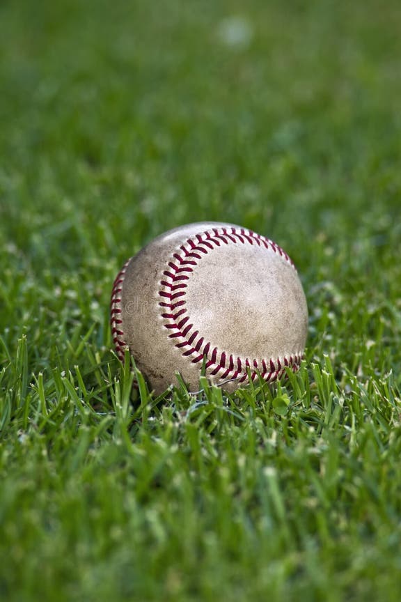 Baseball in Outfield Grass stock image. Image of closeup - 21442911