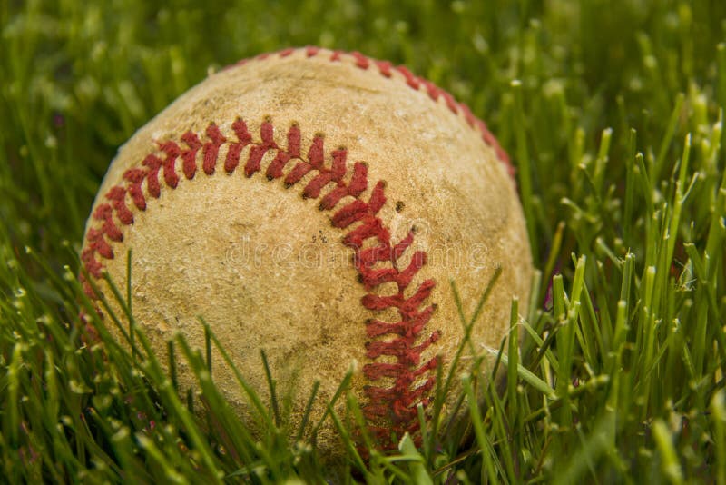 128 Baseball Laying Grass Stock Photos - Free & Royalty-Free Stock ...