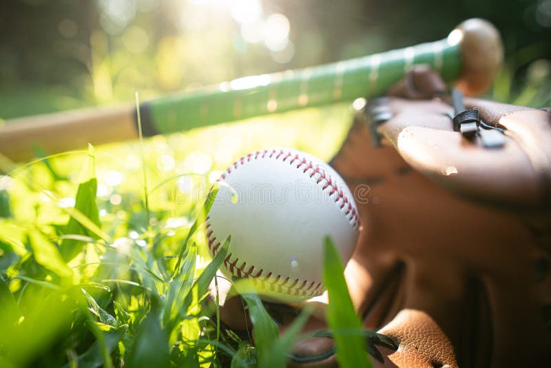 Equipment for the Sport of Baseball Stock Photo - Image of lawn ...