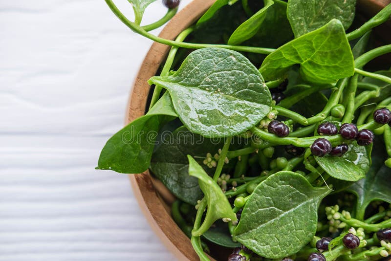 Basella Alba Vegetable Leaves for Health Stock Image - Image of basella ...