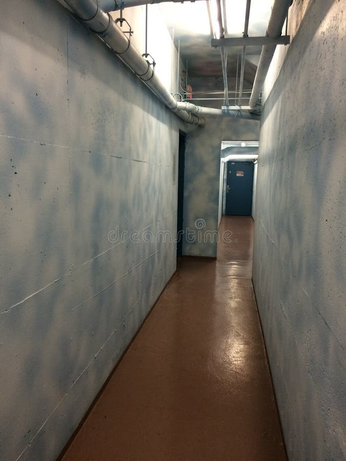 229 School Pool Party Stock Photos - Free & Royalty-Free Stock Photos ...