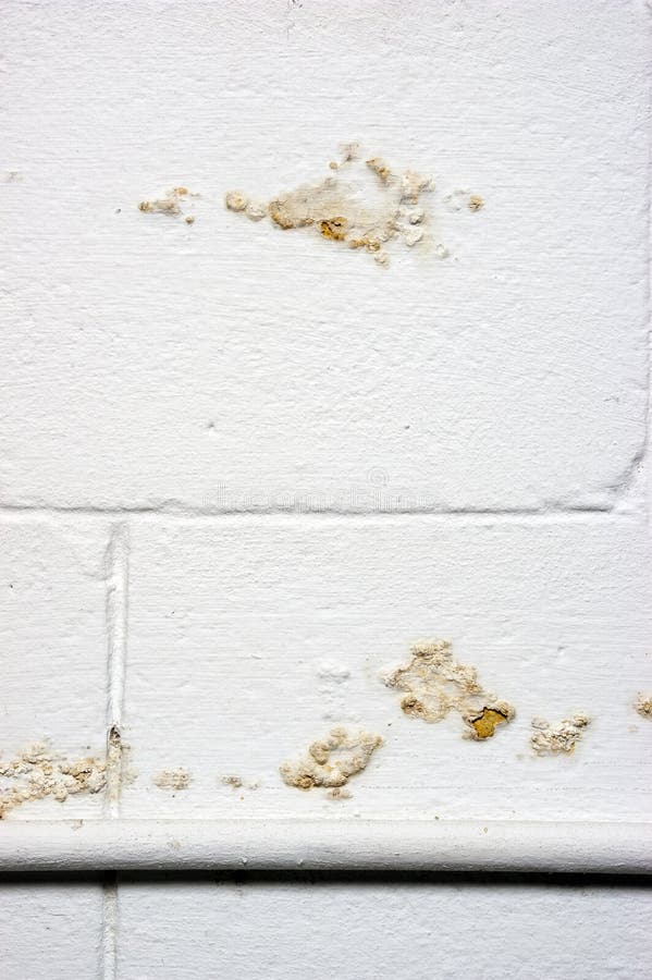 Basement Water Seepage Leak, Foundation Stock Image - Image of leaked ...