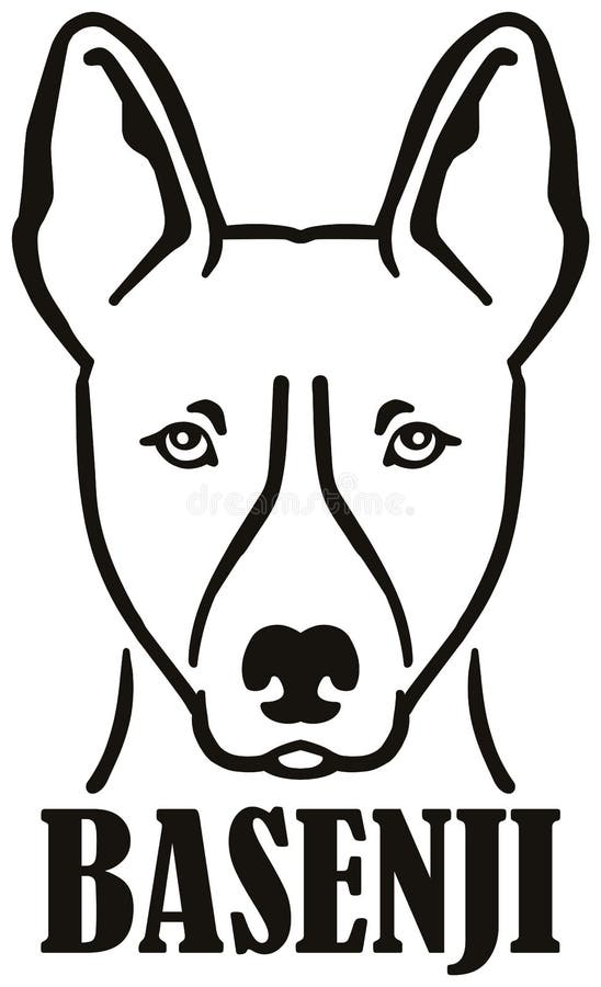 Basenji head with name stock vector. Illustration of expression - 149526261