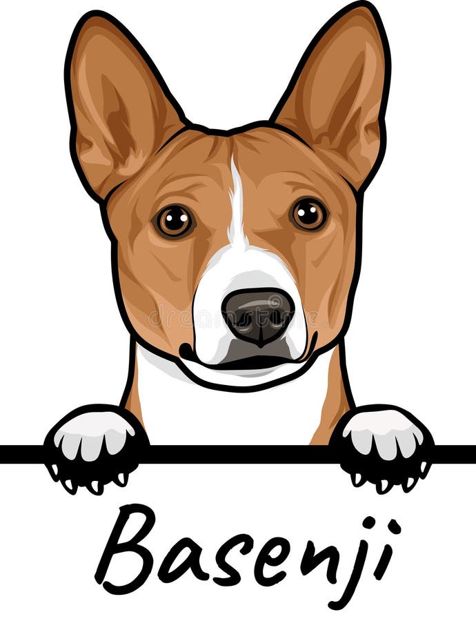 Basenji Dog on Isolated Transparent Background, Png. Generative AI ...