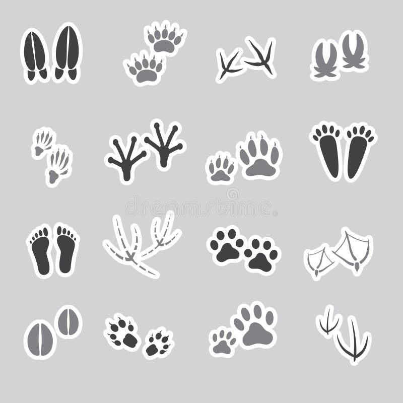 Animal Footprints Stock Illustrations – 11,124 Animal Footprints Stock ...