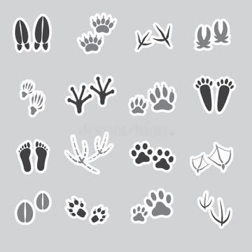 Gecko Footprints Stock Illustrations – 122 Gecko Footprints Stock ...