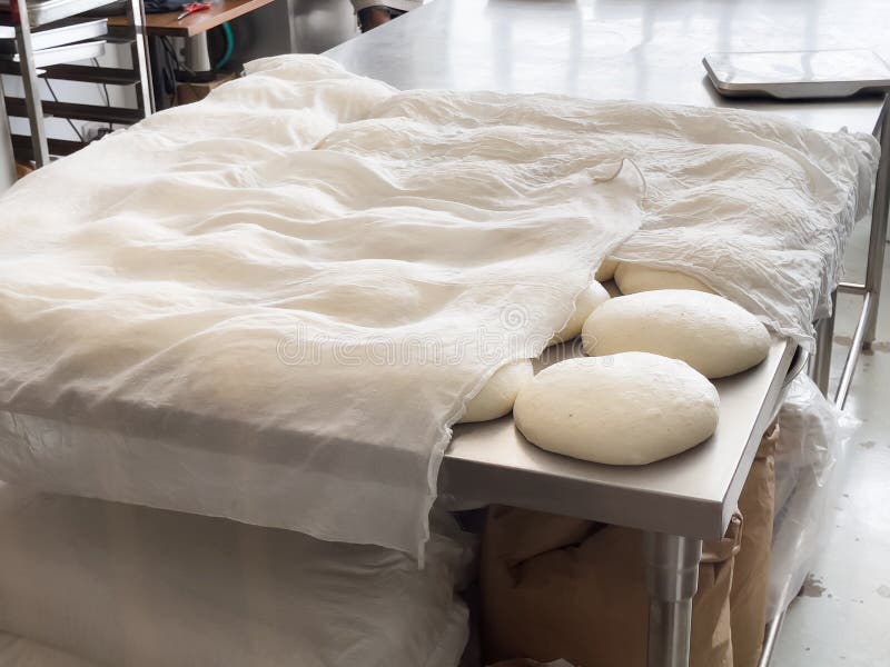 Basic Bread Dough Covered with White Sheet Stock Photo - Image of bread ...